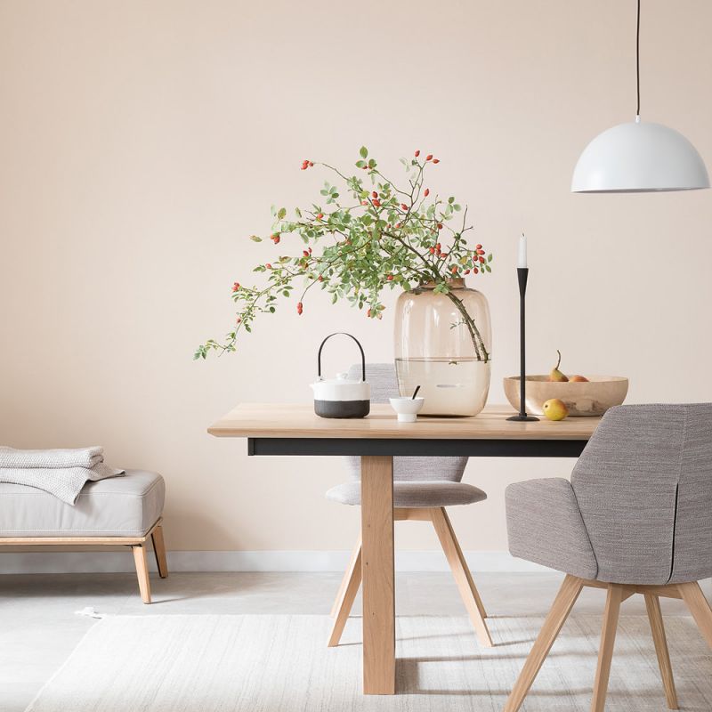 SCHÖNER WOHNEN-Trendfarbe Sand