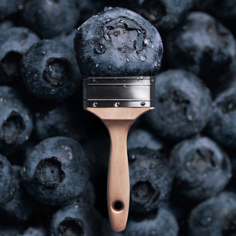 SCHÖNER WOHNEN-Trendfarbe Blueberry